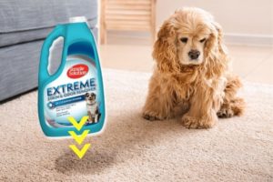 Enzymatic Cleaners - What Are They and Which Are the Best?