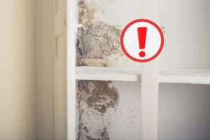 How to Get Rid of Damp in Kitchen Cupboards
