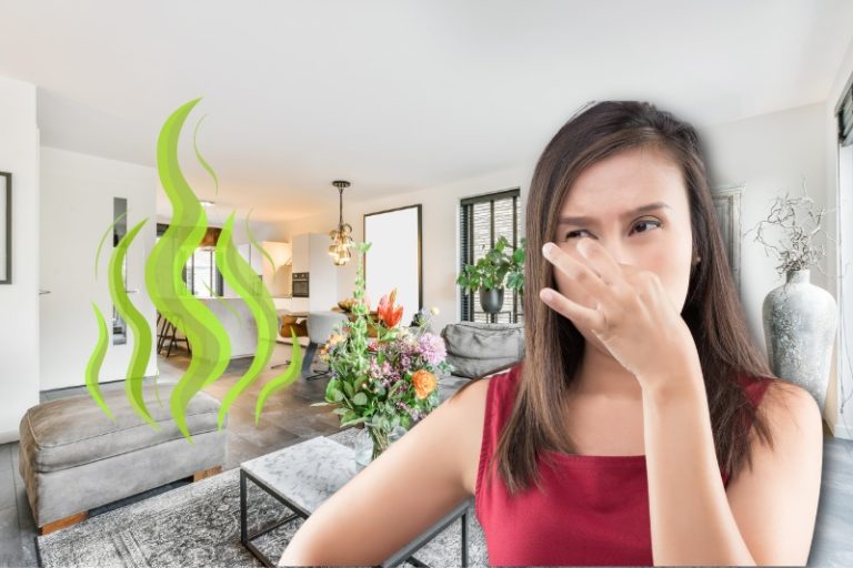 What Causes an Earthy Smell in the House?