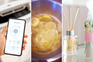 What Causes an Earthy Smell in the House?