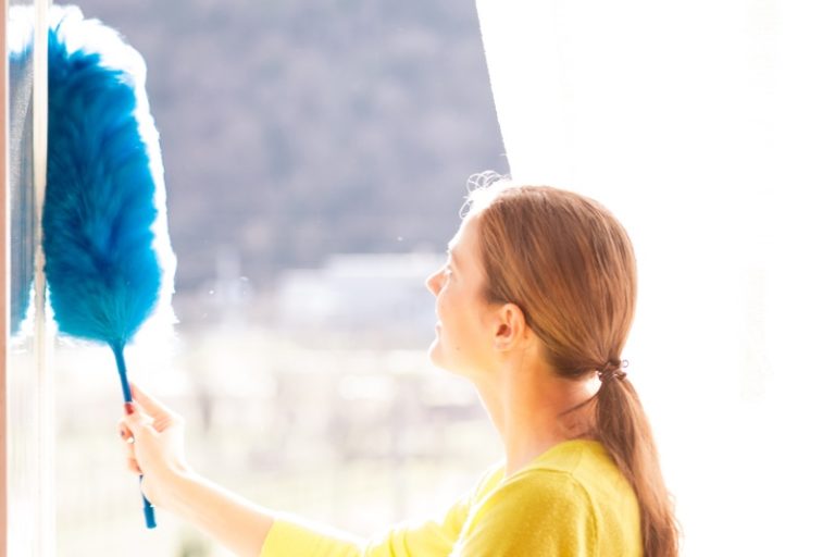 What to Wash Windows With