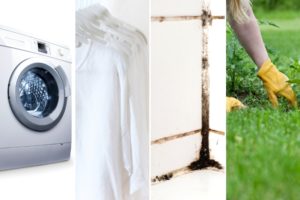 Bleach vs. Toilet Cleaner - Differences and When to Use Each