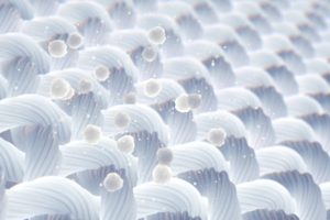 What Enzymes Are in Biological Washing Powder?