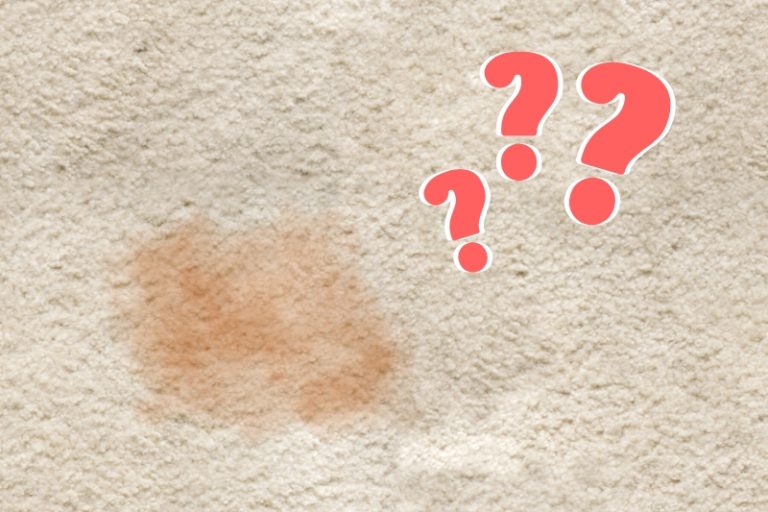 How to Remove Rust Stains from Carpet