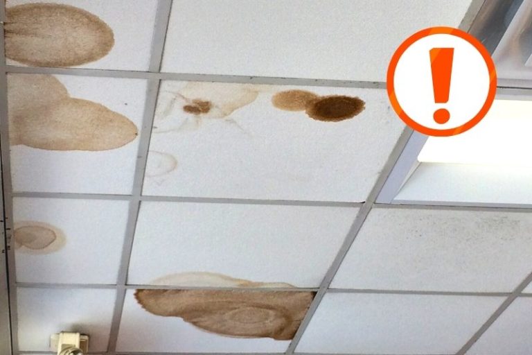 Brown Ceiling Stains - Causes and Solutions