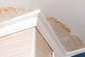 Brown Ceiling Stains - Causes and Solutions