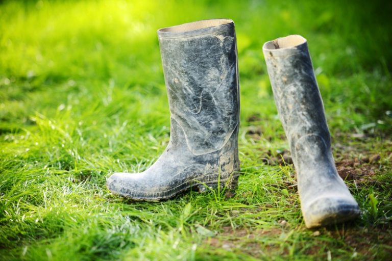 How to Clean Wellies