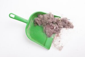 What Is a Dust Bunny?