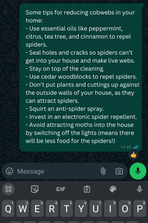 How to Get Rid of Cobwebs