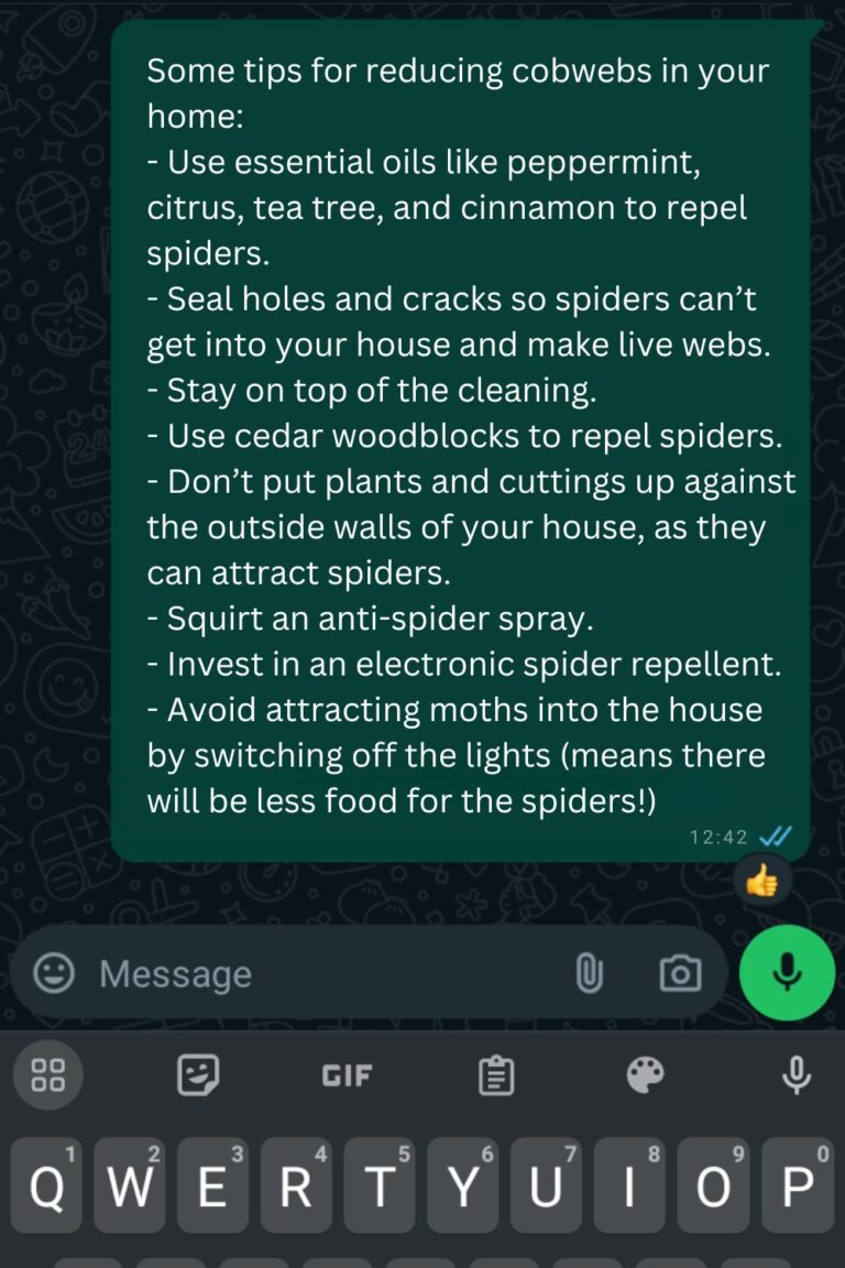 How to Get Rid of Cobwebs