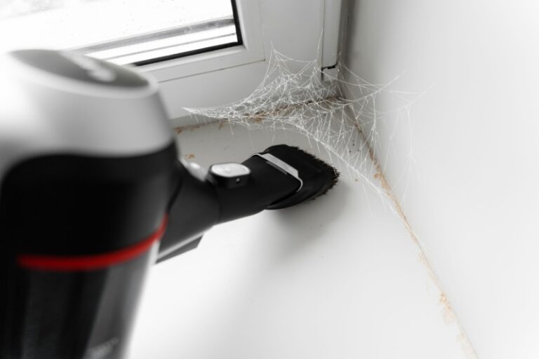 How to Get Rid of Cobwebs