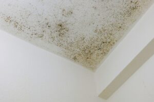 Yellow Stains on Ceilings – Causes and Solutions