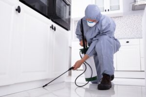 How to Get Rid of Cobwebs