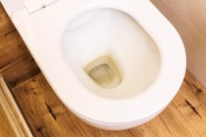 8 Facts About Toilet Bacteria