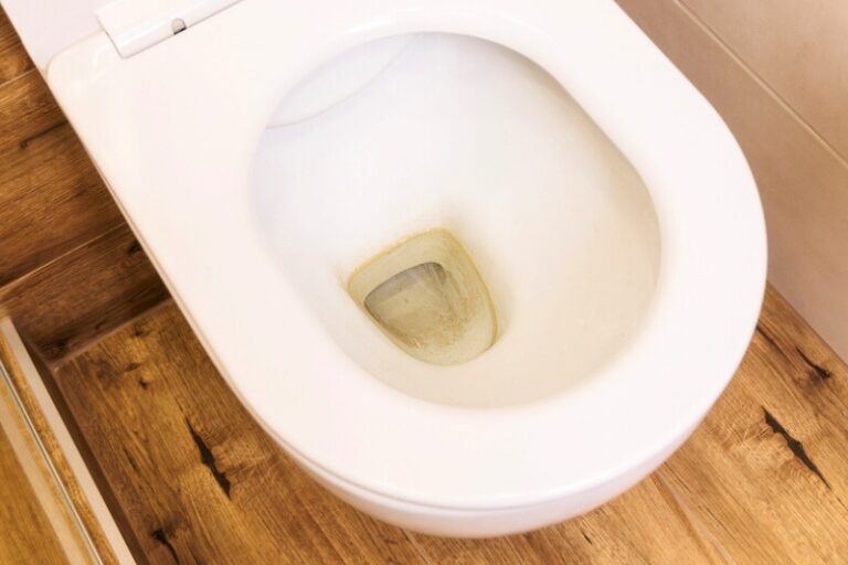 8 Facts About Toilet Bacteria