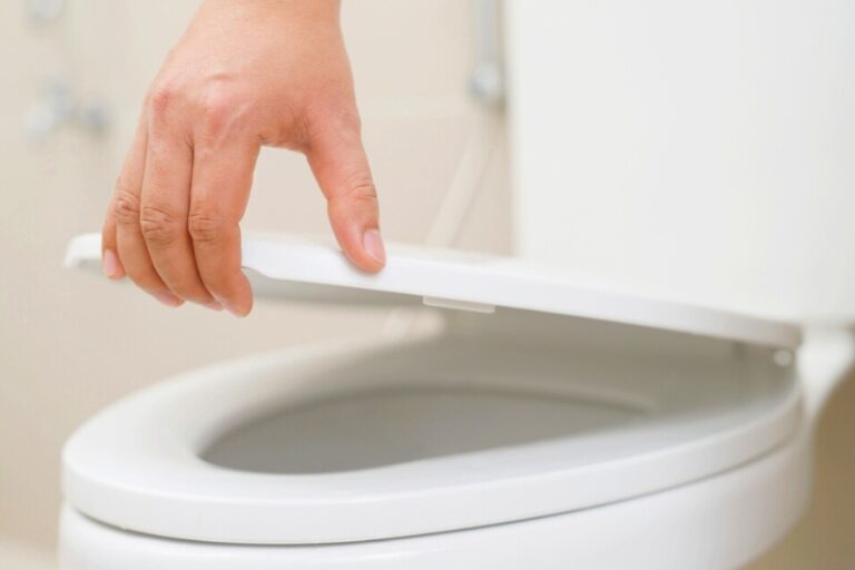 8 Facts About Toilet Bacteria