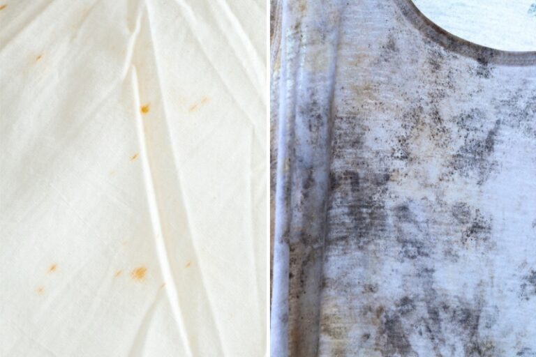 Should You Throw Out Mouldy Clothes?