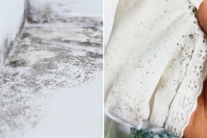 Should You Throw Out Mouldy Clothes?
