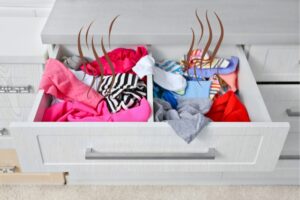 How to Stop Clothes Smelling Musty in Drawers