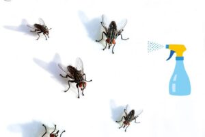How to Make a Natural Fly Deterrent Spray