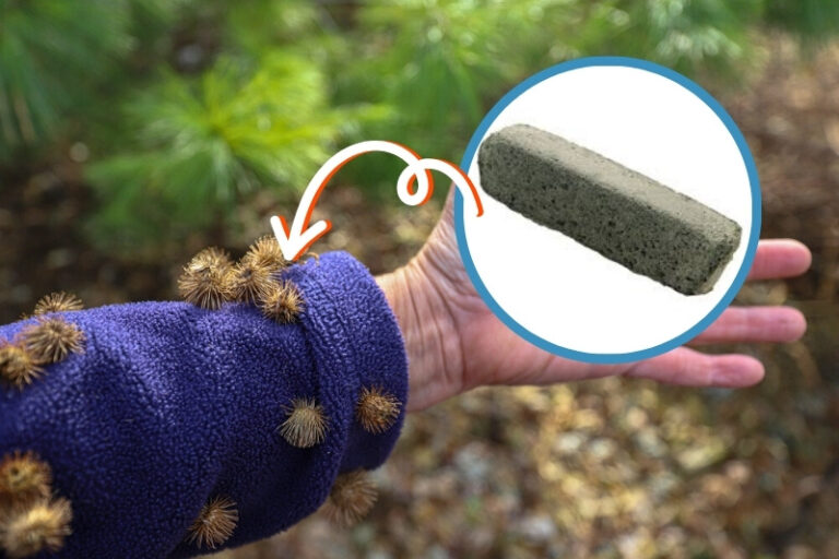 How to Get Sticky Seeds (Burrs) Off Clothing