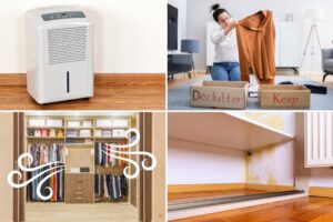 Should You Throw Out Mouldy Clothes?