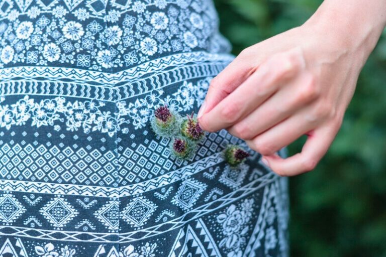 How to Get Sticky Seeds (Burrs) Off Clothing
