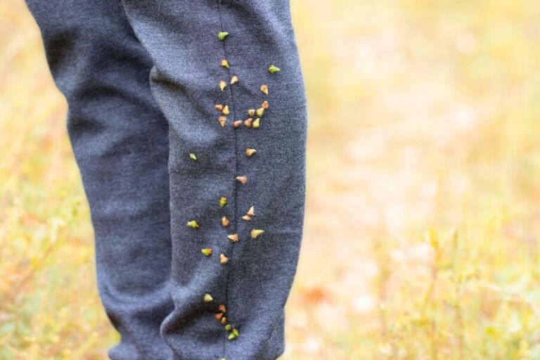 How to Get Sticky Seeds (Burrs) Off Clothing