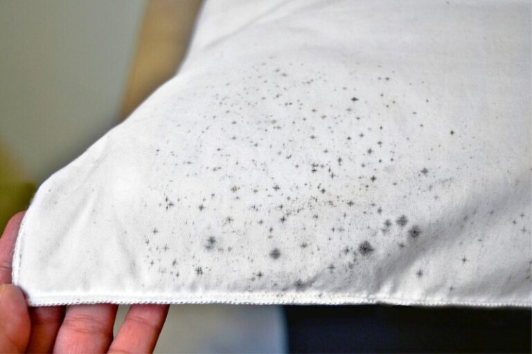 Should You Throw Out Mouldy Clothes?