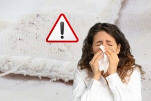 Should You Throw Out Mouldy Clothes?